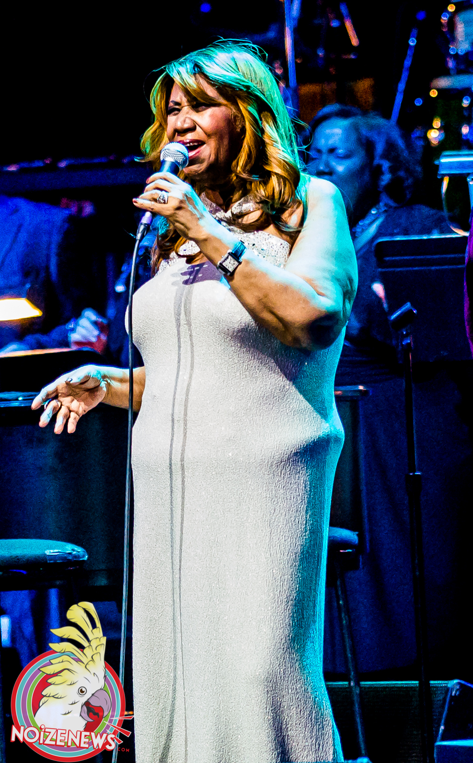 Music Photography Portfolio – Noize